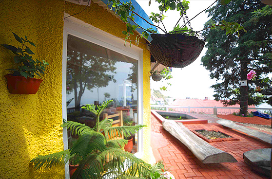 Seclude Mussoorie | Book This Unique 7 Room Villa